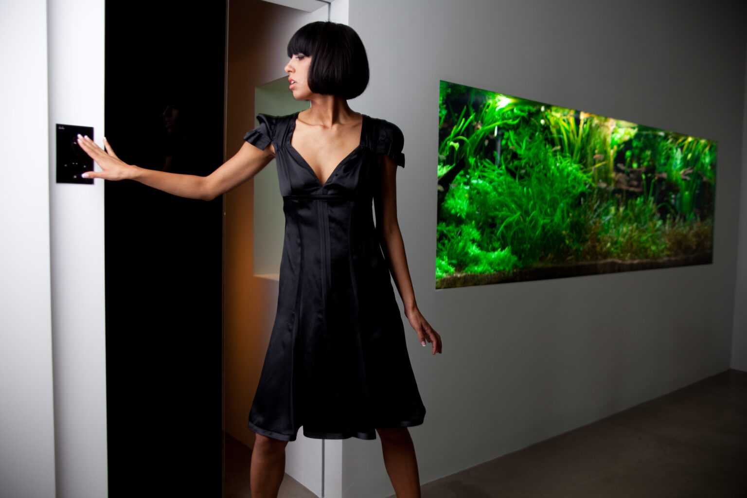 Automatic Pocket Door | Motorized Pocket Door | Sliding Track Systems